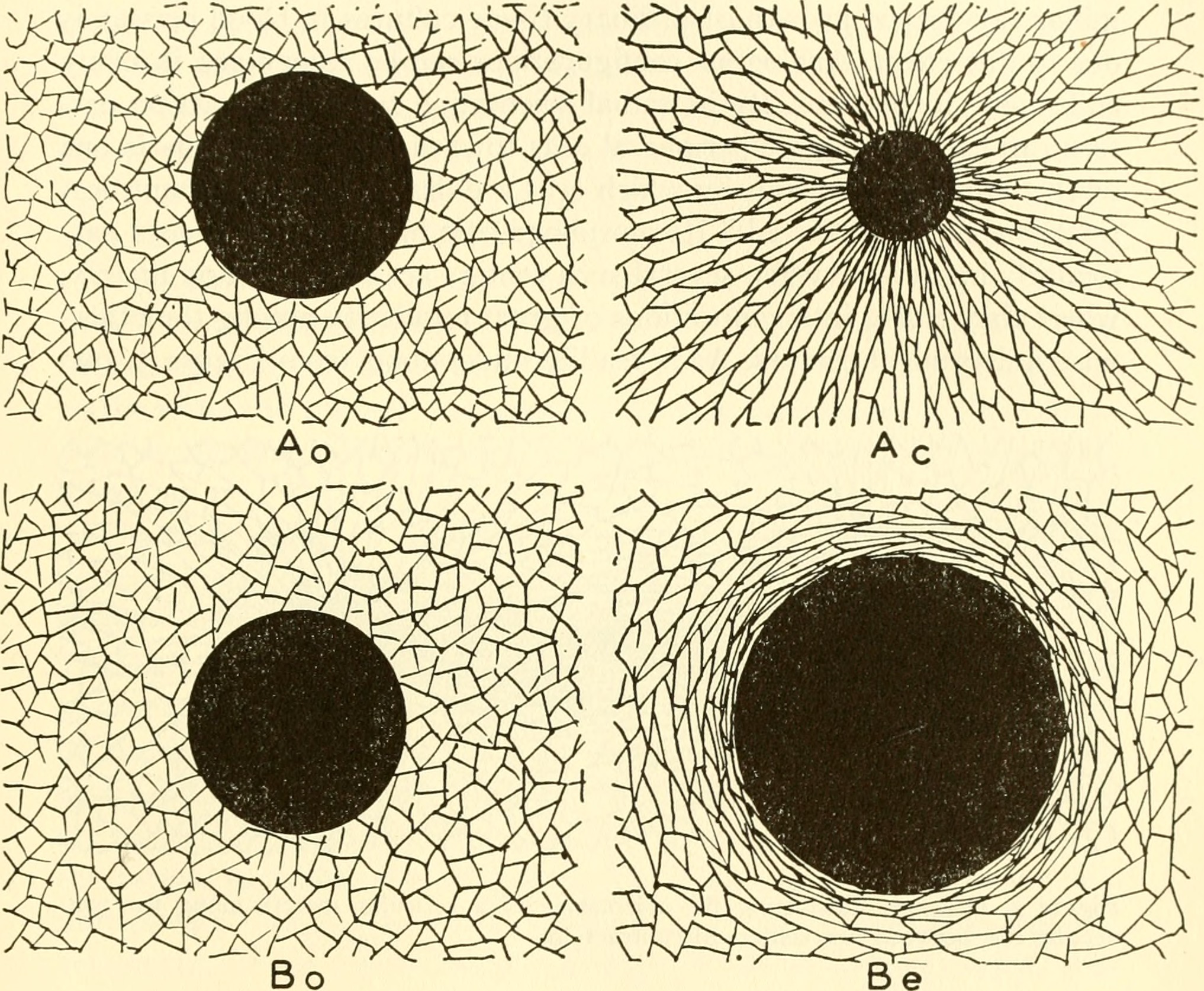 Gilbert Simondon and the Process of Individuation | Epoché Magazine